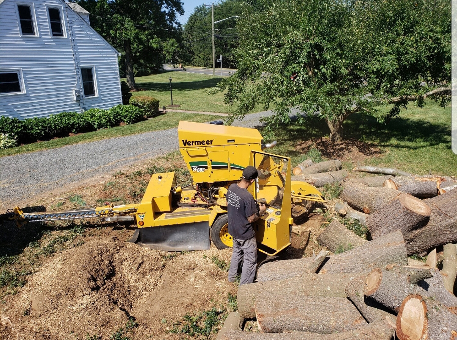 Photo Gallery | Beaver Tree Service | Ellington, Connecticut | 860-716-5144