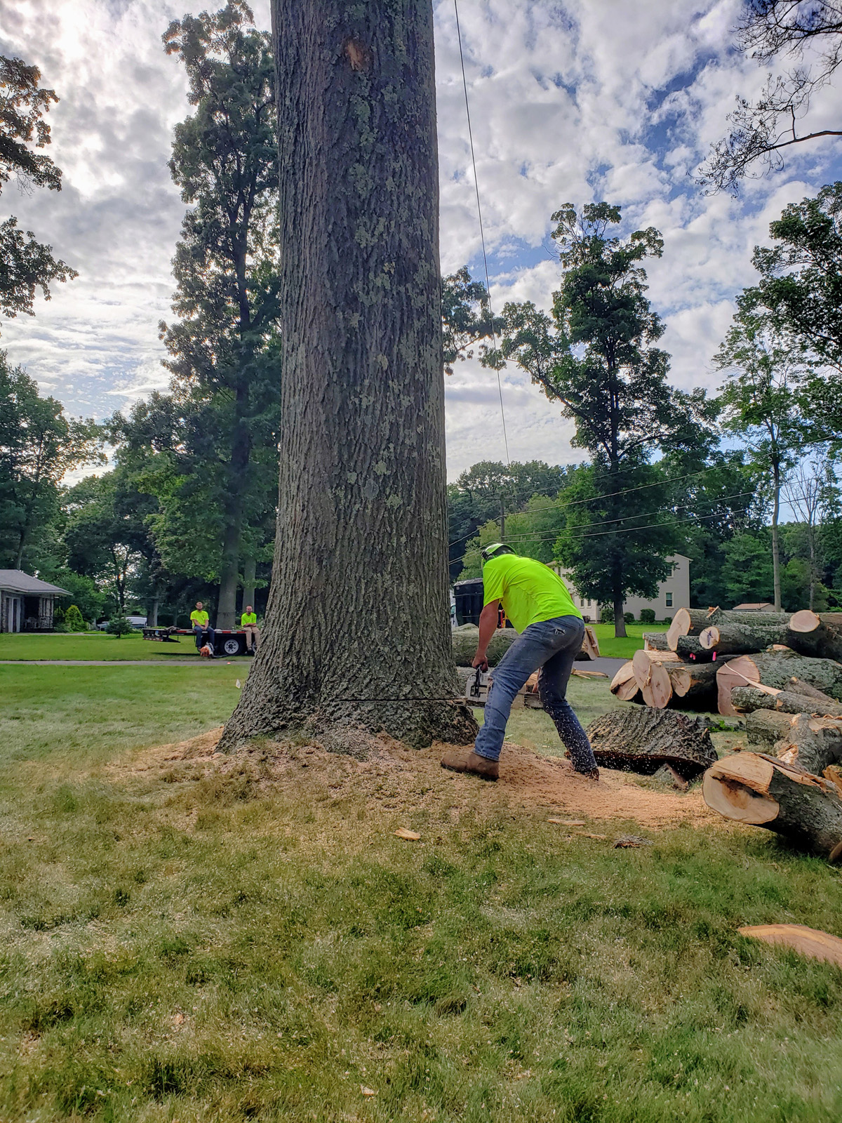 Photo Gallery | Beaver Tree Service | Ellington, Connecticut | 860-716-5144