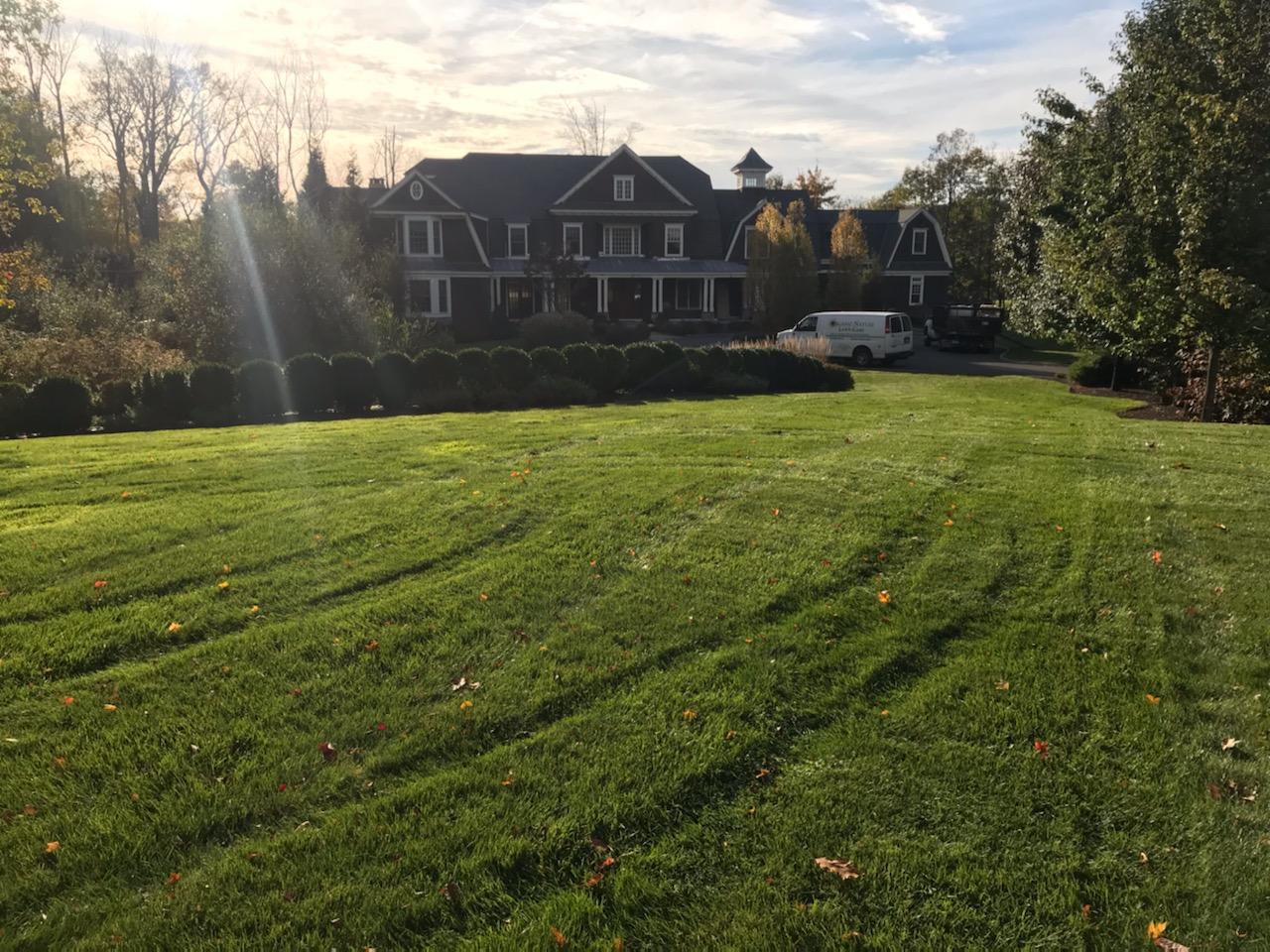 Photo Gallery | Organic Natural Lawn Care | NY and CT | (203) 992-2013