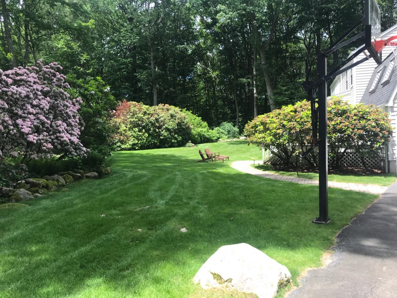 Photo Gallery | Organic Natural Lawn Care | NY and CT | (203) 992-2013